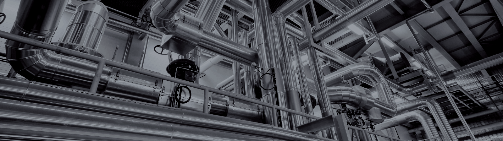 Steam Solutions | Proconex